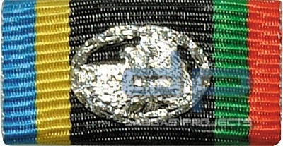 Bandschnalle DLRG Silber | Ordensspangen | Abzeichen & Rangschlaufen ...