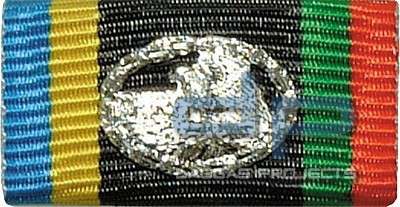 Bandschnalle DLRG Silber | Ordensspangen | Abzeichen & Rangschlaufen ...